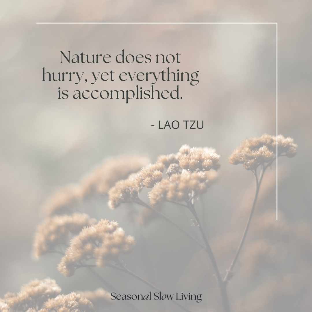40+ Slow Living Quotes to Slow Down & Enjoy Life - Seasonal Slow Living