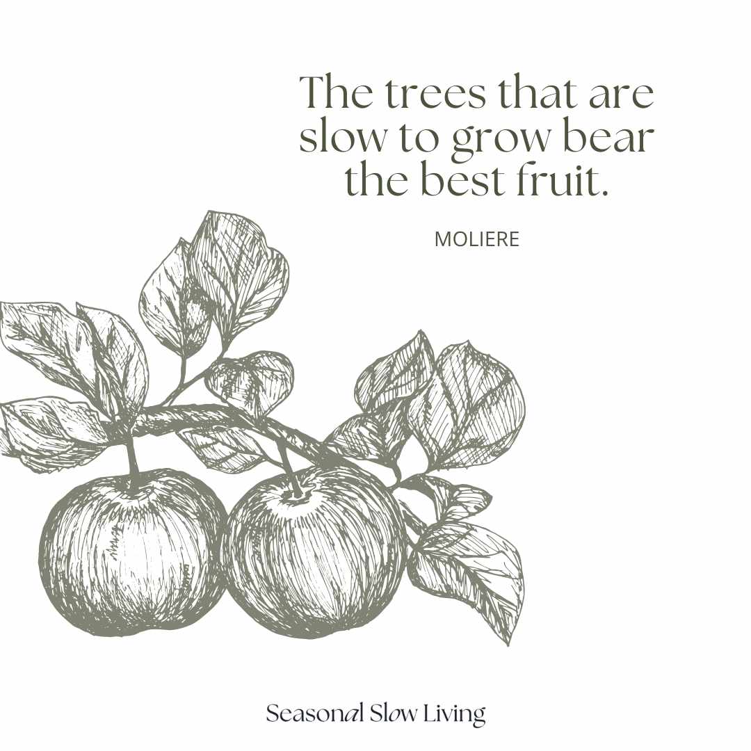 40+ Slow Living Quotes to Slow Down & Enjoy Life - Seasonal Slow Living